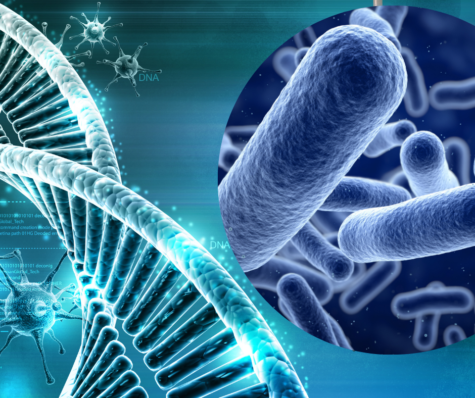 Microbiom. Evaluarea florei intestinale. Beneficiile Testului MAX ...