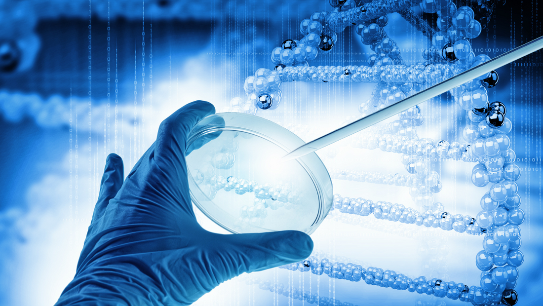 DESPRE NOI – Digest Test